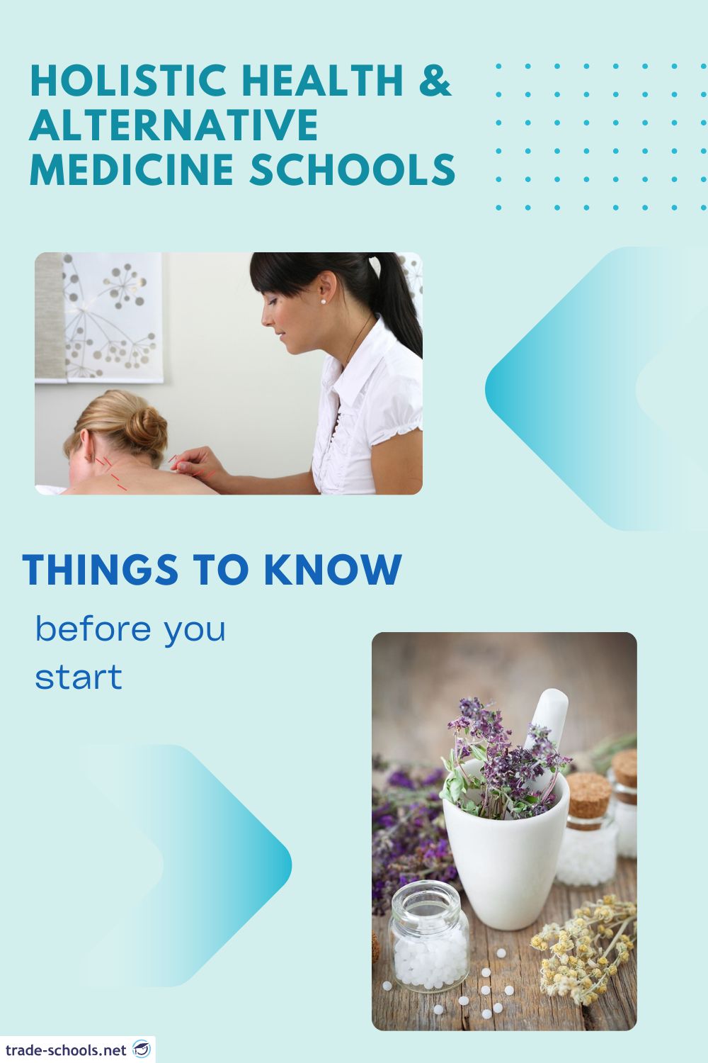 Holistic Health Schools