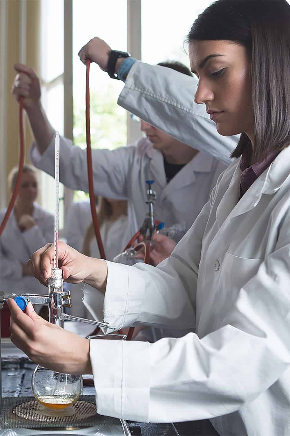 Cannabis Processing and Oil Extraction Training Programs