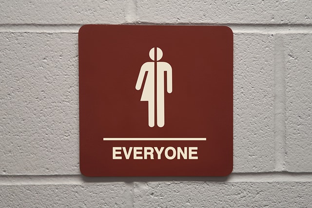 Gender Studies Jobs for 2025: Putting Ideology Into Practice
