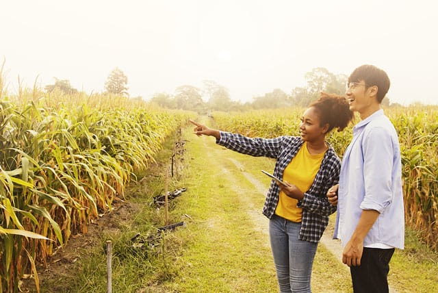 26 Physically Active Jobs That Pay Well and Keep You Active